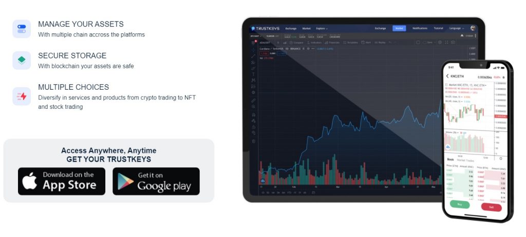 What is TrustKeys Network? TrustKeys Network Ecosystem in details