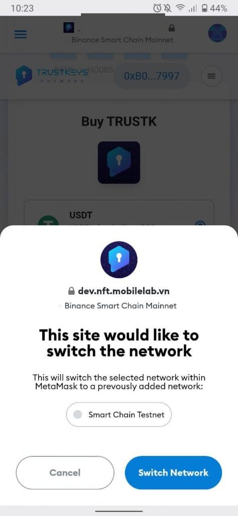 Guide to buy TRUSTK on IDO - TrustKeys Network