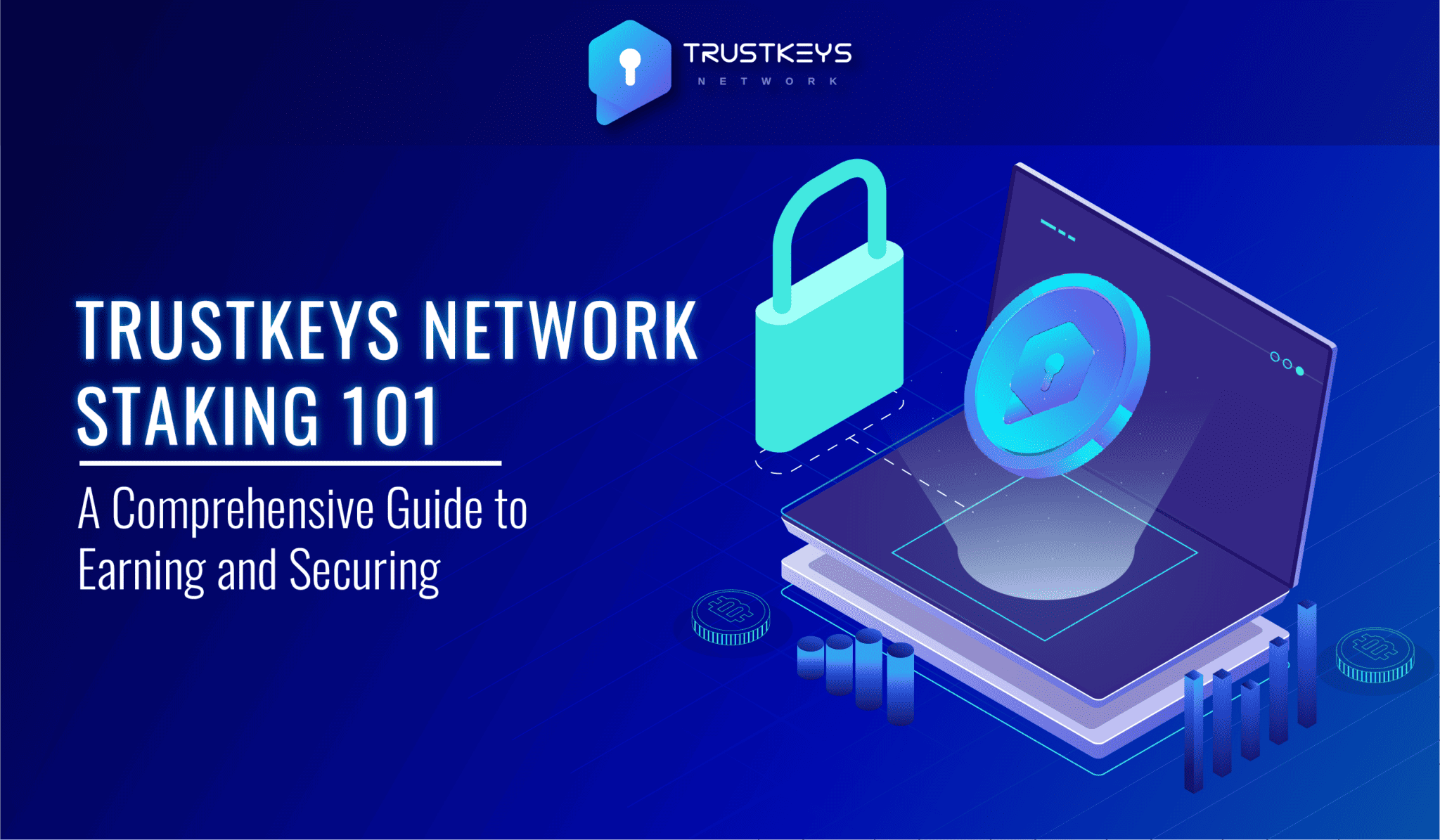 TrustKeys Network Staking 101: A Comprehensive Guide to Earning and ...